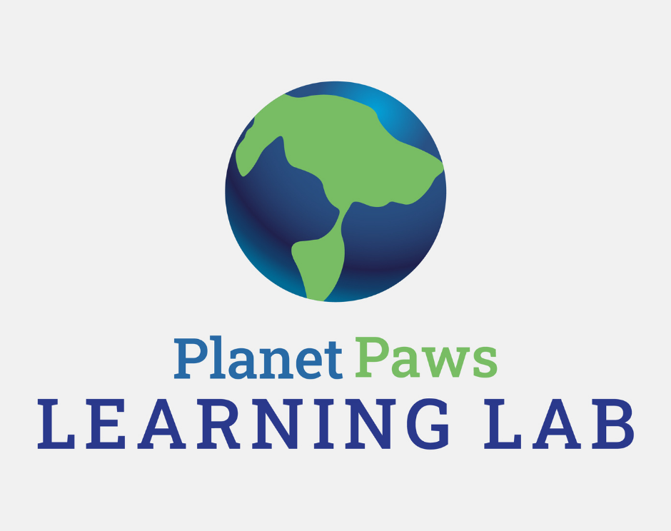 Learn More - The Forever Dog